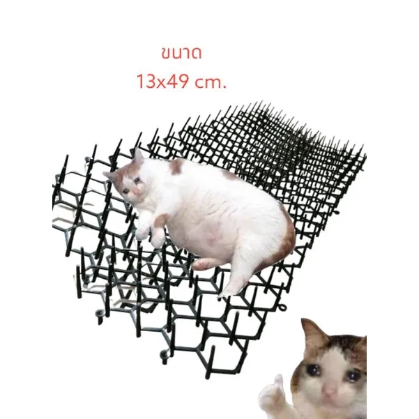 เตรียมจัดส่ง หนามพลาสติกกันแมว ขนาด 13x49 cm. ป้องกันแมวลุยสวน ปีน ...