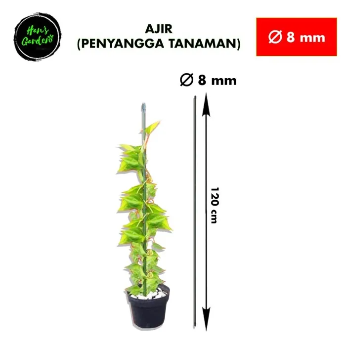 Ajir Modern penyangga tanaman plant stake rambatan 8mm x 120cm (ukuran ...