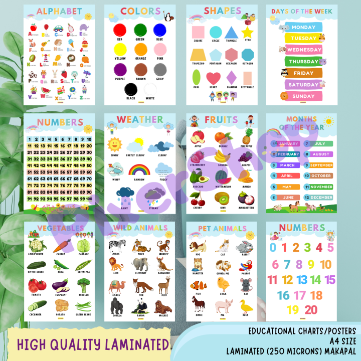 LAMINATED COLORFUL EDUCATIONAL CHARTS/POSTER A4 SIZE/250 MICRONS ...