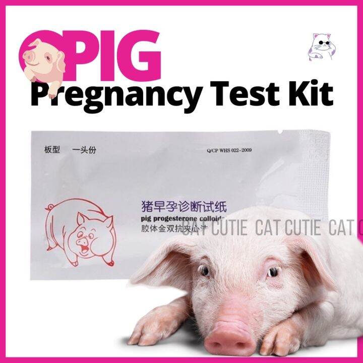 [ MEDICAL PH ] PIG PREGNANCY TEST KIT Pig Urine Pregnancy Test Early ...