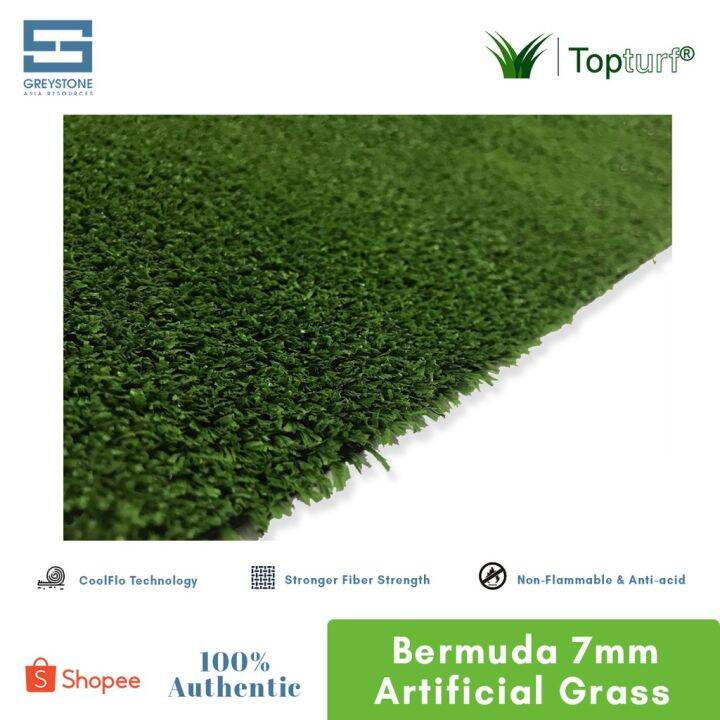 free shipping Topturf Bermuda Artificial Grass 7mm 2m x 1m | Lazada PH