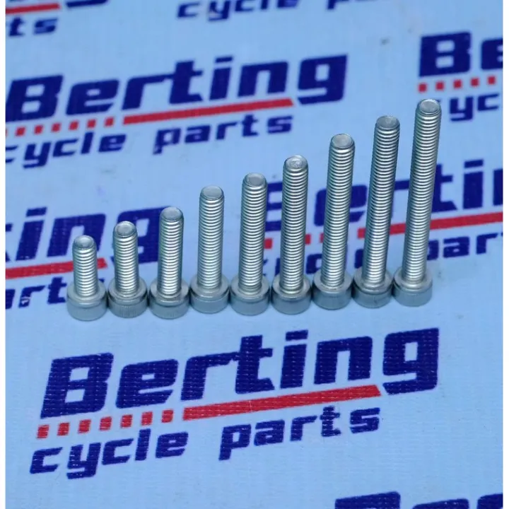 M8 8mm ALLEN BOLT SOCKET BOLT STAINLESS STEEL PER PIECE | Lazada PH