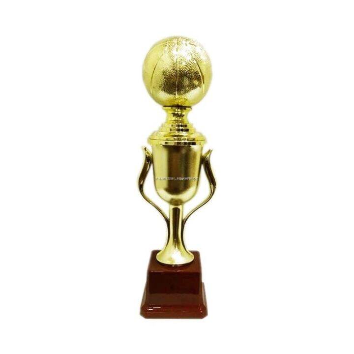 Trophy Award Gold Different Size 30cm-50cm | Lazada PH