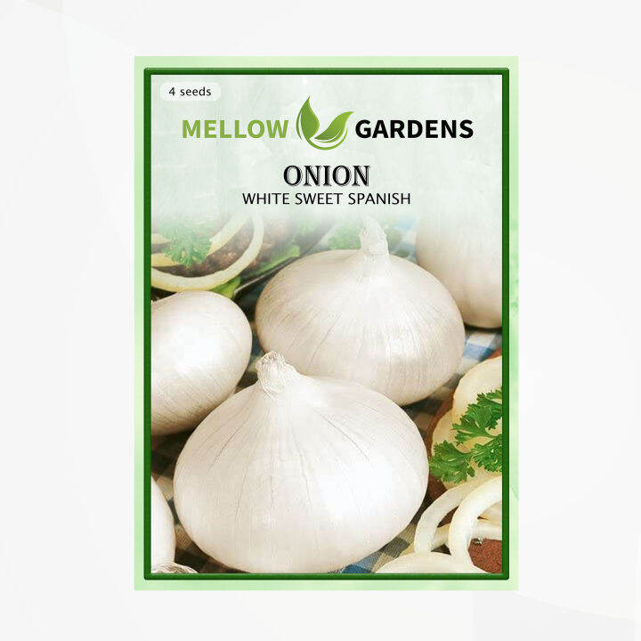 White Sweet Spanish Onion Seeds | Lazada PH