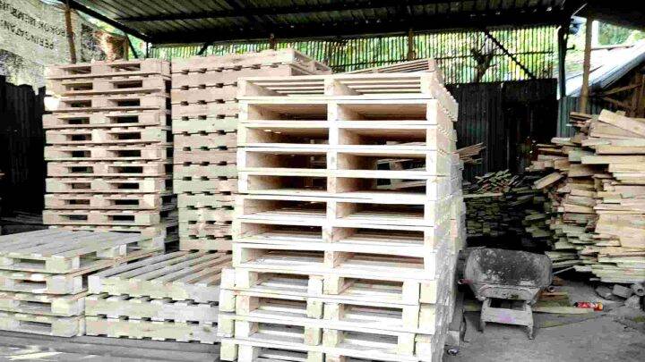 Pallet Kayu Sengon Laut Albasia Baru Ukuran 60×60×13cm, Dipan, Tatakan ...