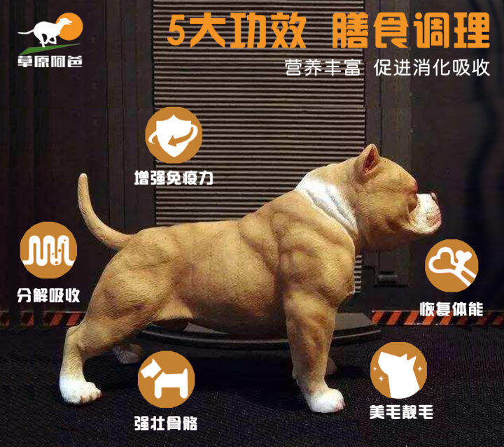 Special dog food for the american bully dogs Bitter Du Gao ...