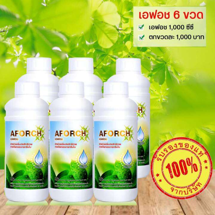 A-Forch เอฟอชสารเสริมประสิทธิภาพพืช (สารจับใบ) ขนาด 1000 CC ชุด 6 ขวด ...
