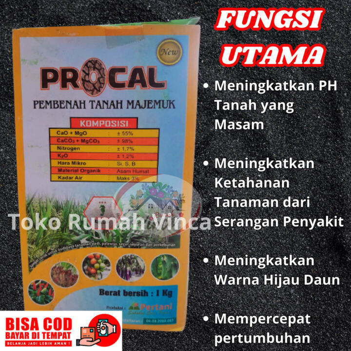 Pupuk PROCAL Pembenah Tanah Majemuk isi 1 Kg pupuk Calsium | Lazada Indonesia