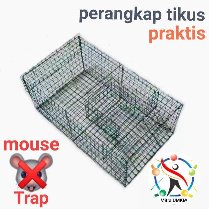 Perangkap Tikus Praktis / Jebakan Tikus Ram Kawat & Besi | Lazada Indonesia