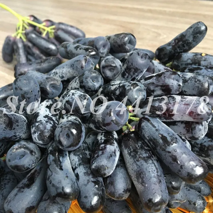 50 Seeds (buy 2 get 1 free) Dwarf Black Grapes Japanese Heirloom Juicy ...