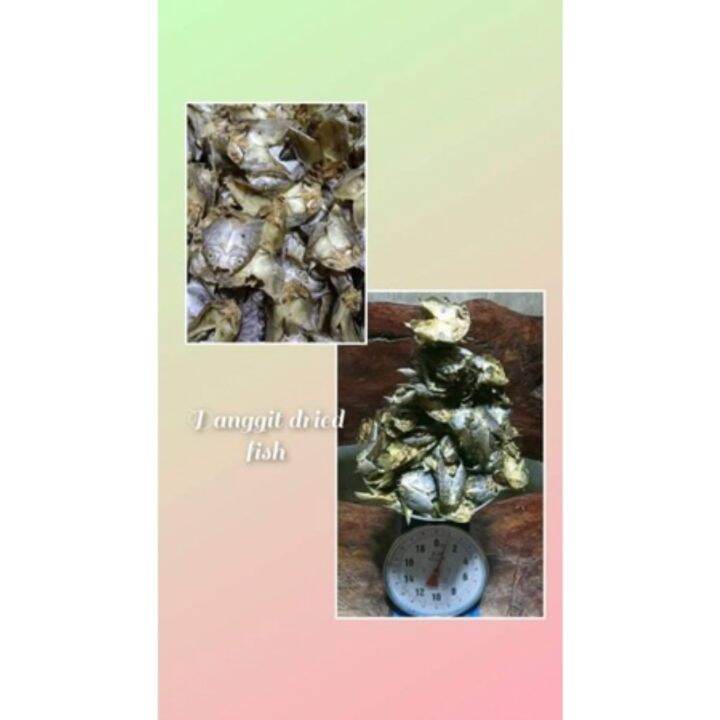 COD dried fish danggit from bolinao 1kg | Lazada PH