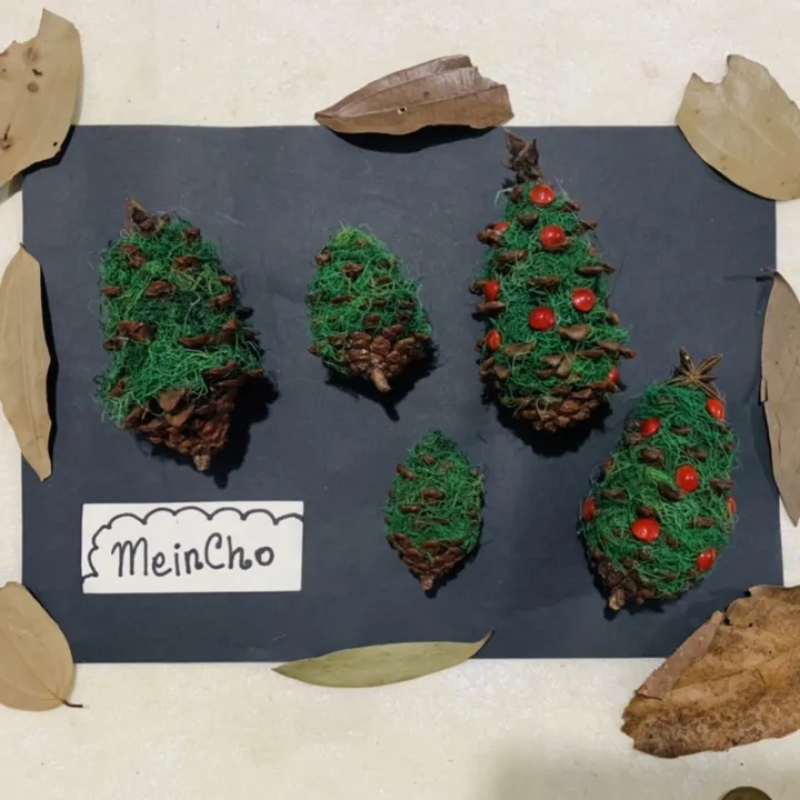 Pohon Cemara Mini Pine Tree Pohon Pinus Mini Chrismast Tree | Lazada ...