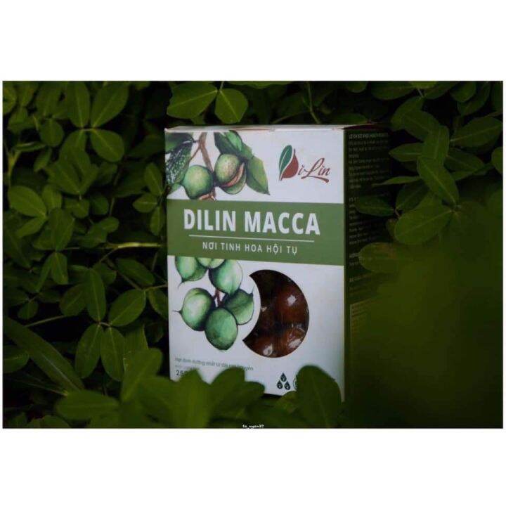DILIN MACCA (HỘP 500gr) - ĐẶC SẢN DI LINH | Lazada.vn