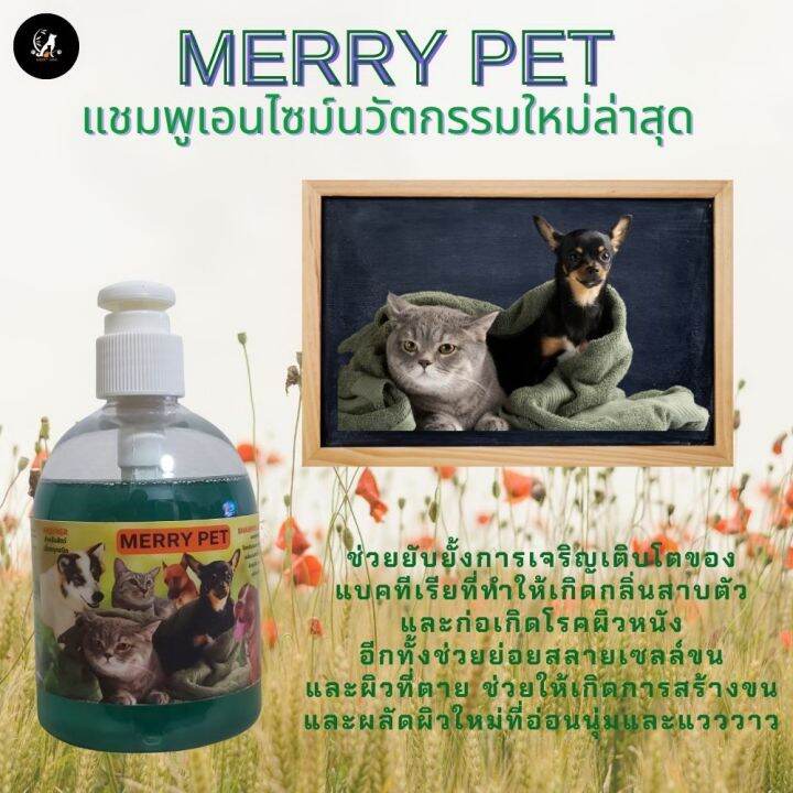 Enzyme แชมพู Merry pet สูตรเข้มข้น ผลงาน ดร.วิสุทธ์ใช้ทำความสะอาดสัตว์ ...