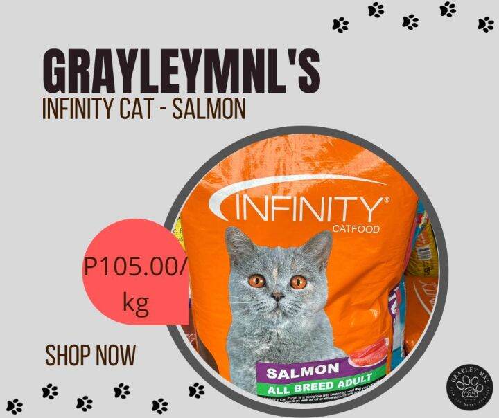 Infinity Salmon Cat Food - Repacked | Lazada PH