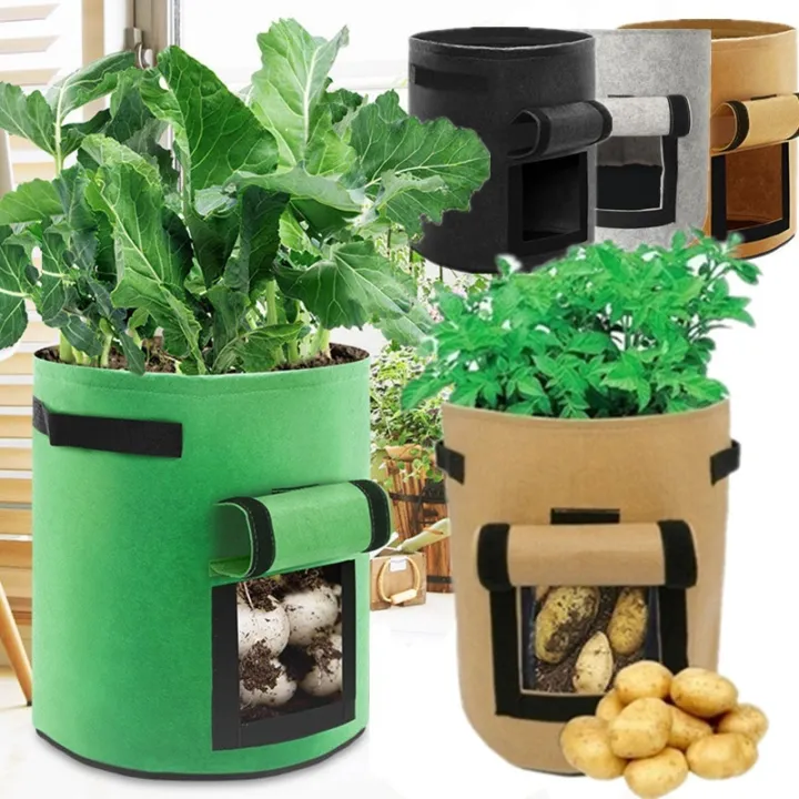 ZM Hidup Rumah Pot Bunga Pot Kentang Tumbuh Penanam Wadah Tas Menanam ...