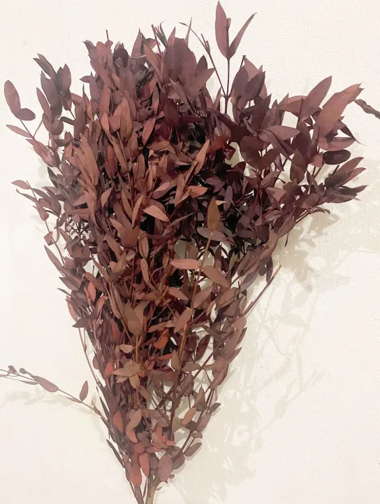 PARVI REAL DRIED FLOWER | Lazada PH