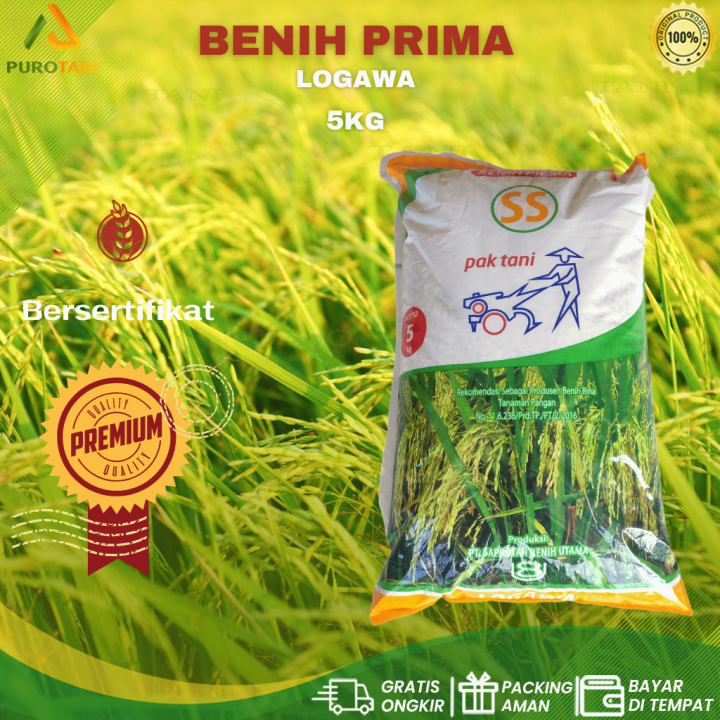 Benih PADI prima Logawa Pak TANI 5KG | Lazada Indonesia