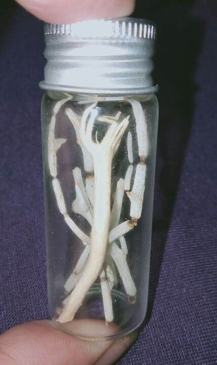 Tagupaypay at White corals with FREEBIES | Lazada PH