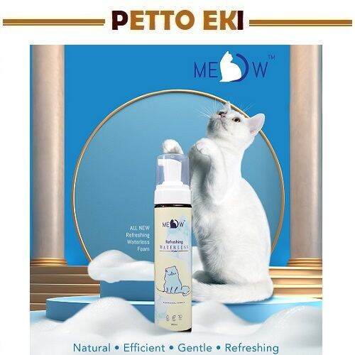 True Iconic Meow Waterless Foam 250ml / Cat / Grooming | Lazada