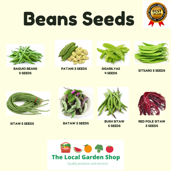 SITAW/BEANS SEEDS - SITAW SIGARILYAS PATANI BATAW SITSARO. | Lazada PH