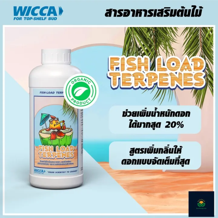 FISH-LOAD TERPENES เร่งกลิ่นหอมและรสชาติดอกที่ชัดเจน - WICCA | Lazada.co.th