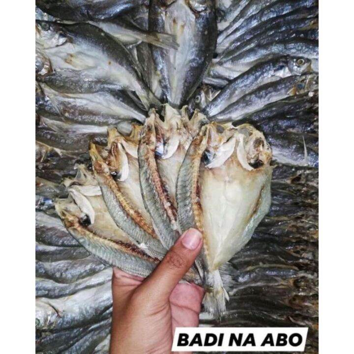 BICOL'S BEST DAING NA ABO DRIED FISH 250g | Lazada PH