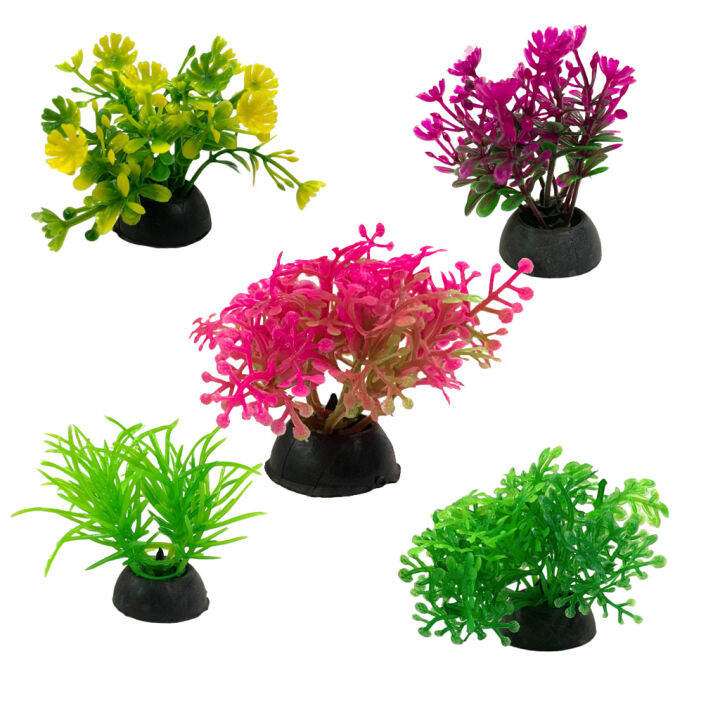 Cây Rong Trang Trí Hồ Cá Nhí Cao 4cm - Rêu Trang Trí Bể Cá Thuỷ Sinh ...