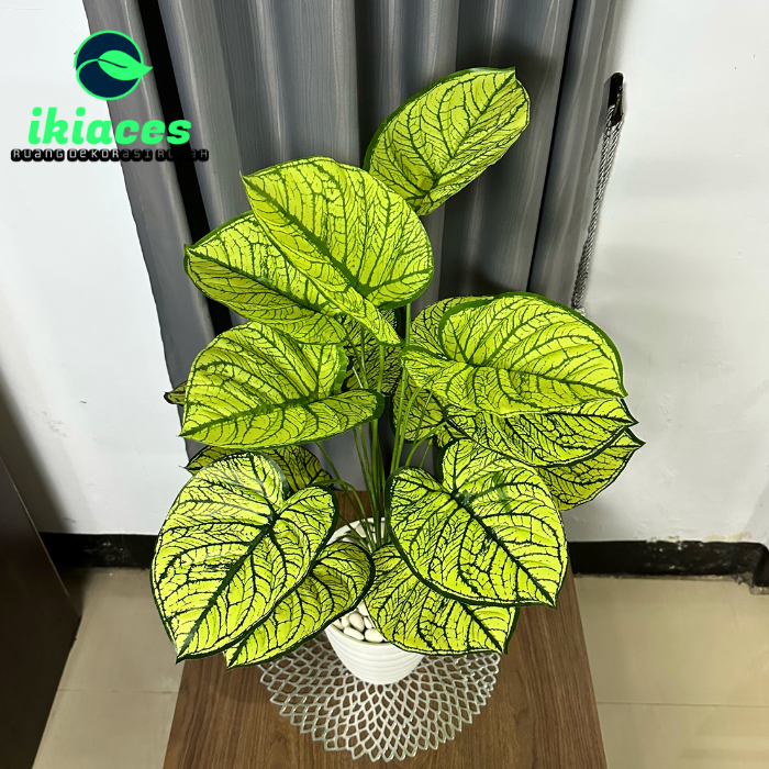 DAUN AGLONEMA ARTIFICIAL DAUN KELADI PLASTIK DEKORASI TANAMAN AESTHETIC ...