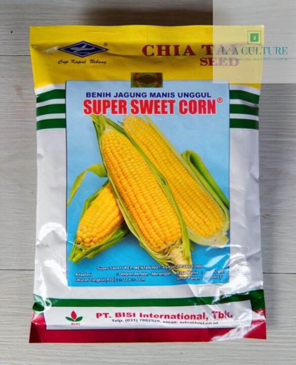 250gr BENIH BIBIT JAGUNG SUPER SWEET CORN KEMASAN ASLI CAP KAPAL TERBANG | Lazada Indonesia