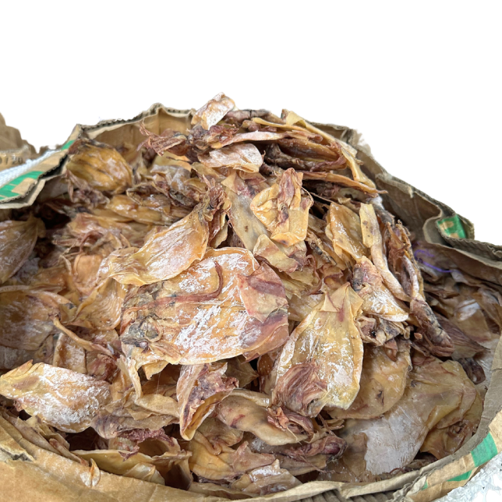 DFX Dried Pusit From Zamboanga 100g | Lazada PH