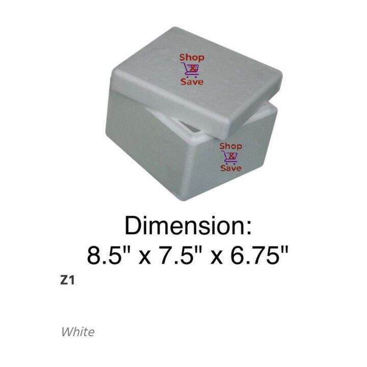 SMALLEST STYRO BOX / STYROFOAM PORTABLE /STYRO | Lazada PH