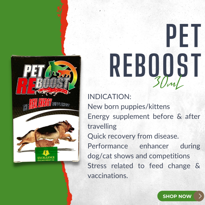 [AGRIVET] Pet Reboost Oral Solution - Performance Enhancer for Dogs and ...