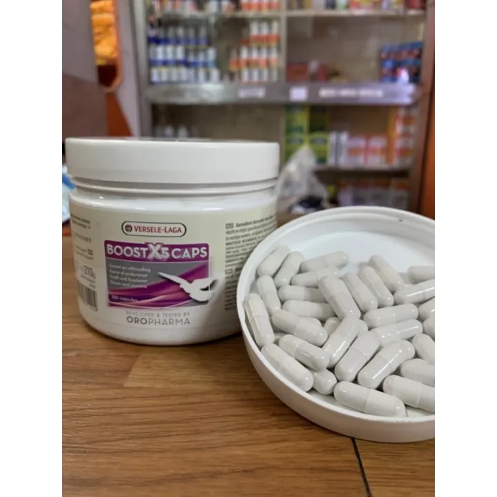 Boost X5 Caps Versele Laga Pigeon Supplement sold in 10 and 50 pcs ...