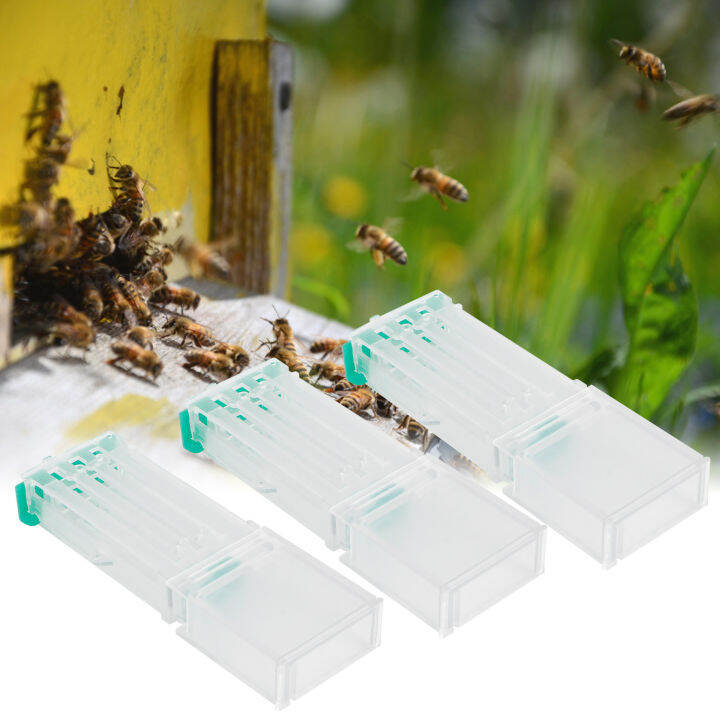 Bee Queen Cage Queen Bee Cage 3 ชิ้นสำหรับเกษตรกรผู้เลี้ยงผึ้ง | Lazada ...