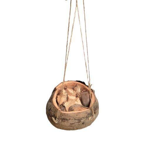 CFI Native Bunot With Tali (1 pc) | Lazada PH