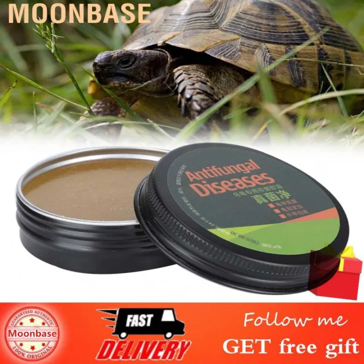 [Ready Stock]Antifungal Turtle Care Shell Cream Remove Fungus White ...