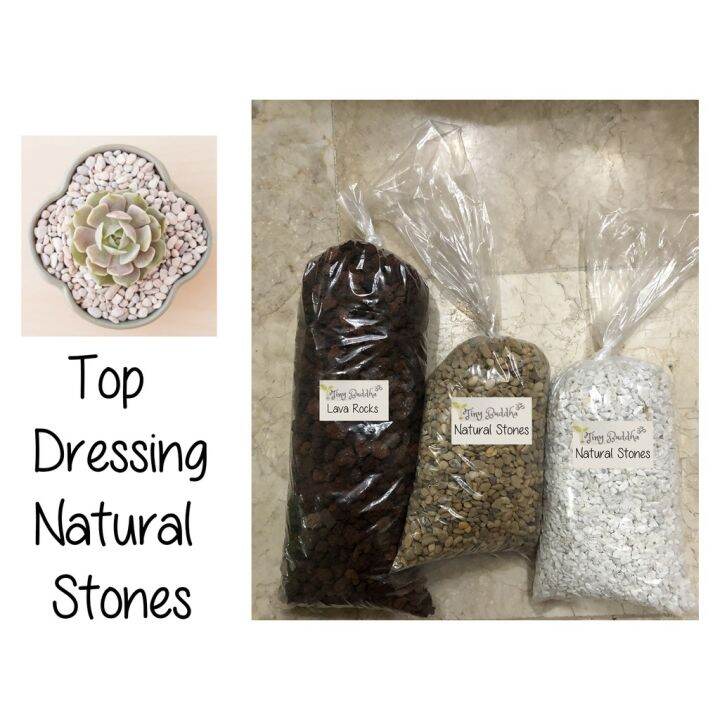 natural stones top dressing for gardening plants white multi assorted ...