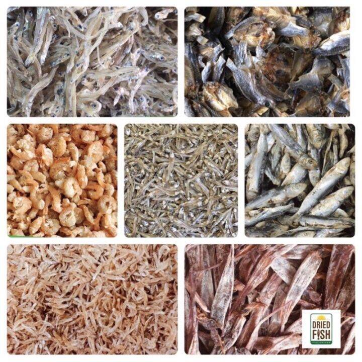 DFP Dried Fish 100 grams (Danggit, Pusit)VACUUM PACKED | Lazada PH