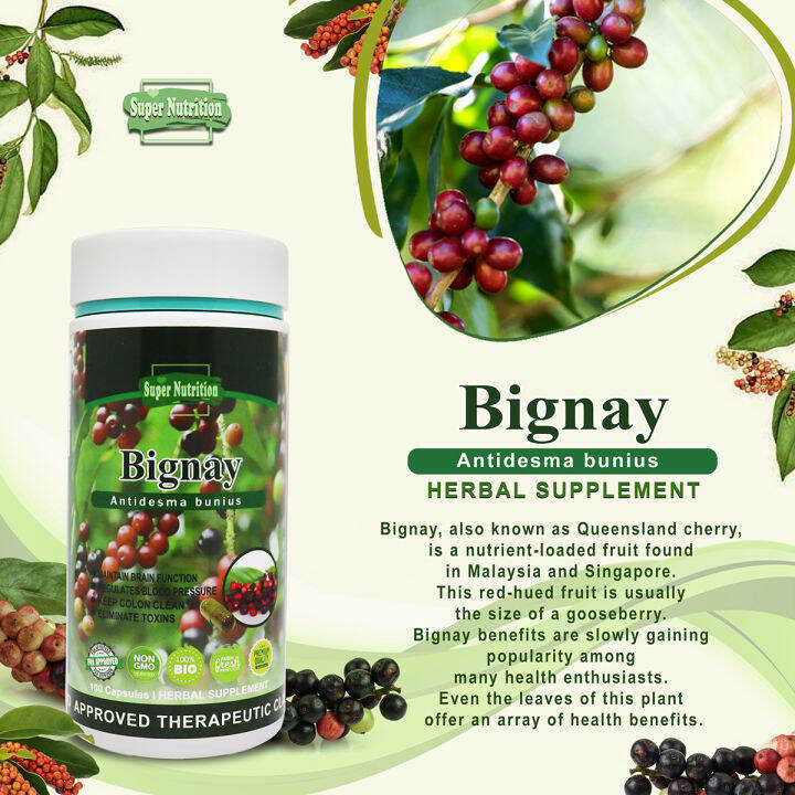 Bignay Capsules Natural Herb Food Supplement | Lazada PH