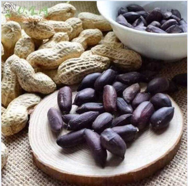 Hạt giống đậu phộng đen,lạc đen dể trồng-gói 15 gram(giá trị dinh dưỡng ...