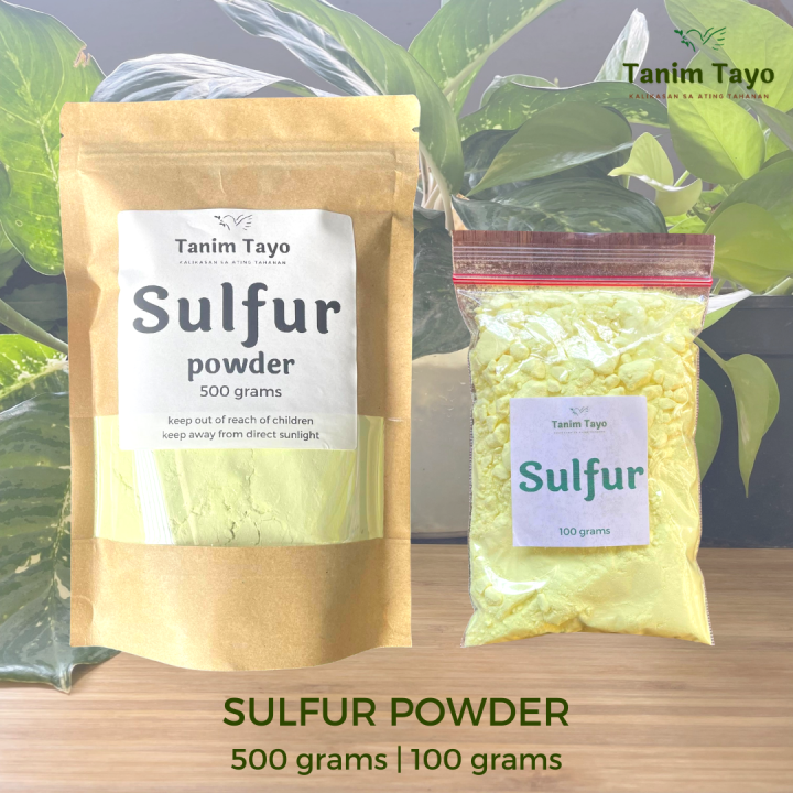 Tanim Tayo Sulfur Powder, Asupre, Sulphur Powder as Fungicide, for ...