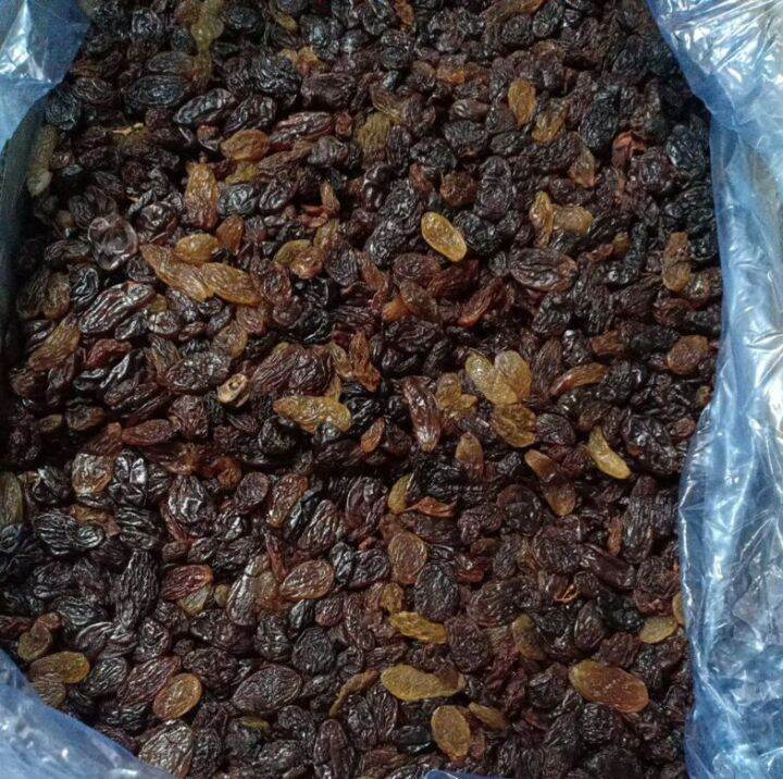 Kismis Raisins Merk Malayar Repack 100gram | Lazada Indonesia
