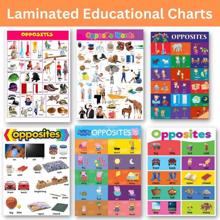 Laminated Opposites Charts, Antonyms Charts, Educational Charts for ...