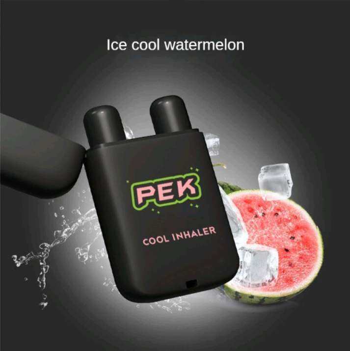 PEK Refreshing Double hole Nasal inhaler | Lazada PH