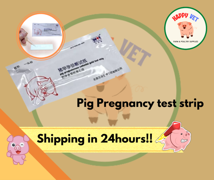 Pig Pregnancy Test Strip Early Pregnant Detection Testing Tool Sow ...