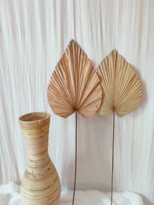 palem kering DAUN PALEM KERING MURAH SEDANG / DRIED PALM DEKORASI DAUN ...
