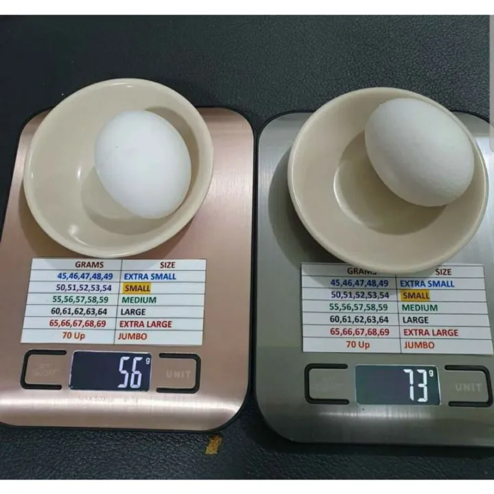 Weighing Scale For Human Body Weight digital egg weighing scale ...