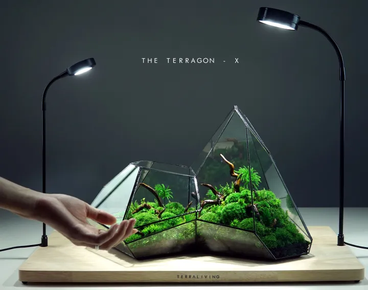 The Terragon - X ZERO, Heart of Forest, TerraLiving Botanical Sculpture ...