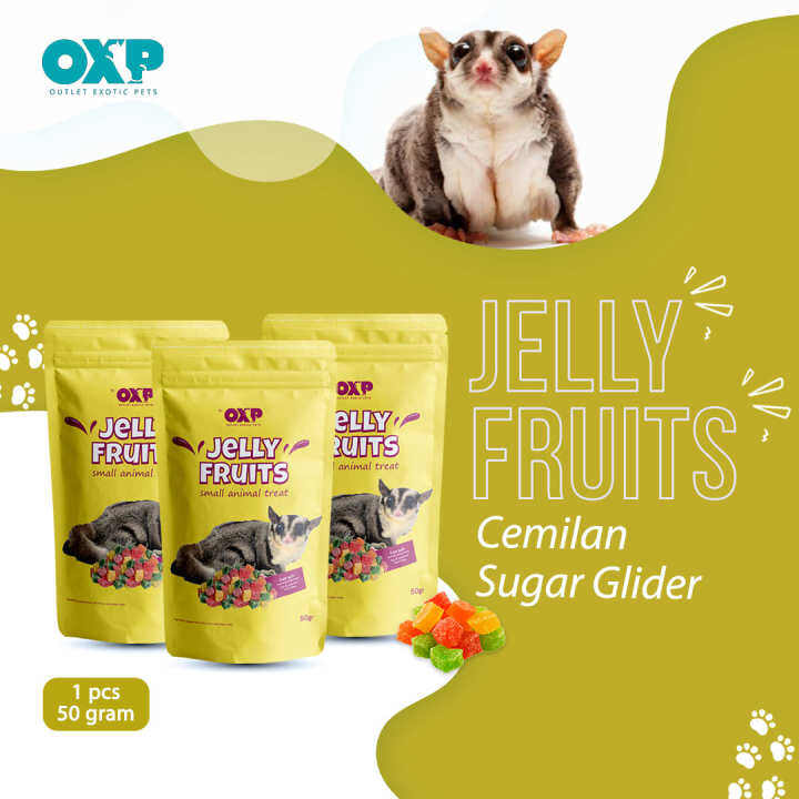 Jelly Fruits Snack Hewan Sugar glider, Hamster, Dan Kecil Lainnya ...